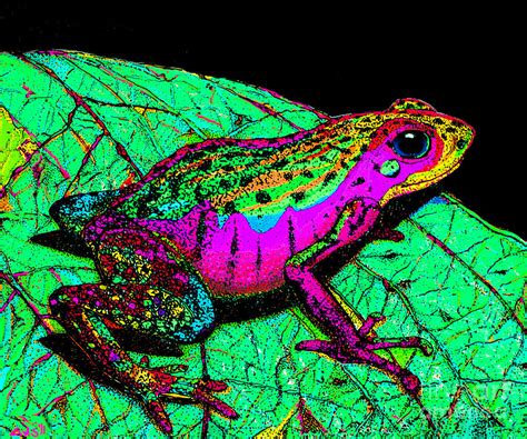 Colorful Tree Frogs Jumping