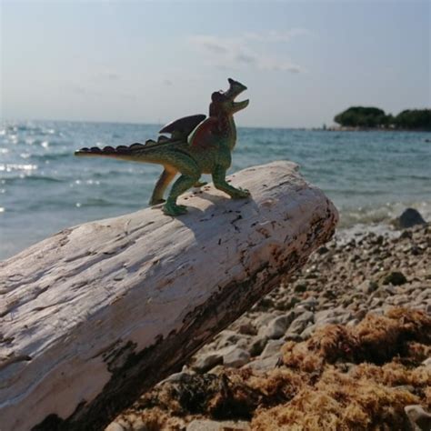 Amatonormativity Is Fucking Bad Yall Wee Lightning Bug Tumblr Blog