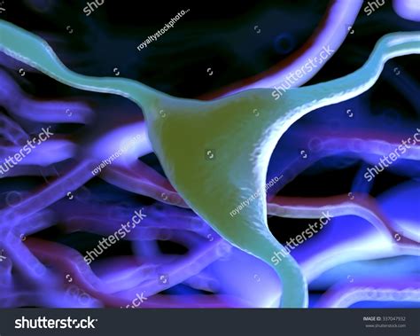 Cerebral Cortex Over 8 021 Royalty Free Licensable Stock Illustrations Drawings Shutterstock
