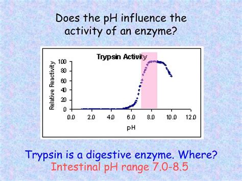 Basics Of Acid And Base PowerPoint Slides LearnPick India