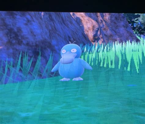 Just Caught A Random Odds Shiny Psyduck R Scarletandviolet