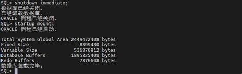 Oracle19c Adg搭建oracle 19c Adg搭建详细步骤 Csdn博客