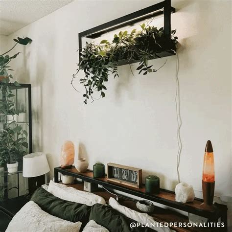 Melissa Anness On Linkedin New Brand Of The Week Modern Sprout