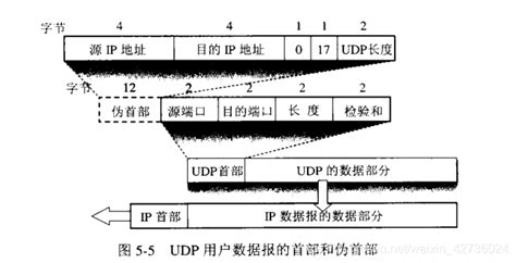 tcp，udp的报头详解 udp是四层报头 csdn博客