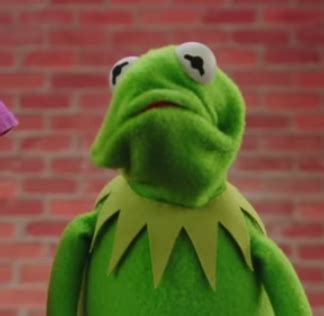 The Kermit Scrunch Face Appreciation Thread Artofit