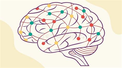 Brain With Network Neural Connections And Cognitive Function Vector
