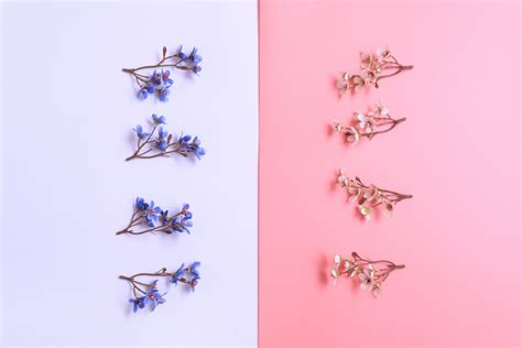 Color Matching Background Floral Map Psd Backgrounds Free Download Pikbest