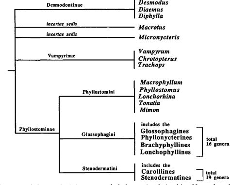 Figure 2 From Phylogenetic Relationships And Classification Of The