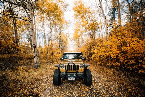 Tips To Optimize Your Turo Business In The Off Season Field Notes