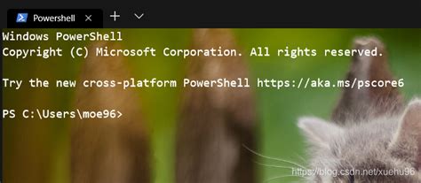 Windows Terminal新版终端 美化设置背景图片和标题terminal 怎么设置标题 Csdn博客