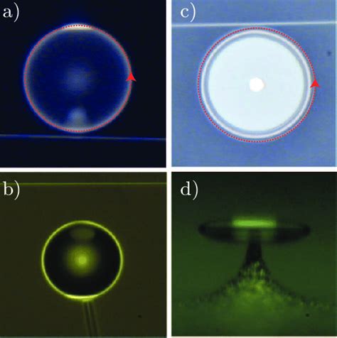 1 Whispering Gallery Mode Resonators Used In This Work The Light Download Scientific Diagram