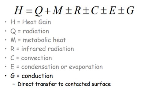 Biol 307 Lecture 13 Thermal Regulation Flashcards Quizlet