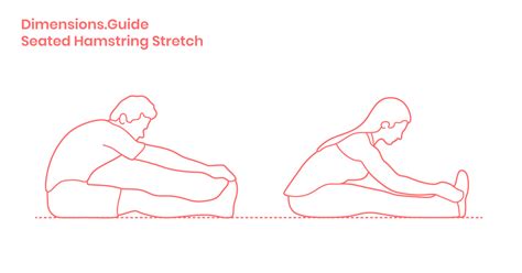Sitting Hamstring Stretch