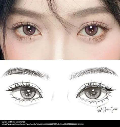 Screenshot Of 眼睛保姆级教程｜procreate手绘｜线稿讲解 4