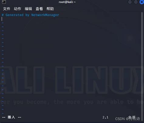 Kali Linux域名解析失败解决方法kaliping百度域名解析失败 Csdn博客