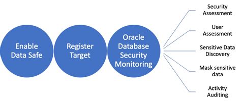 oracle data safe entitles organizations to understand data sensitivity
