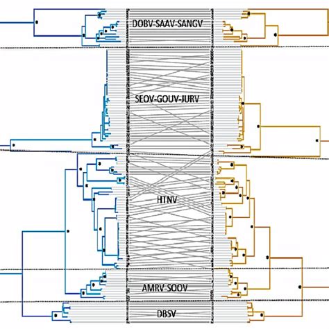 tanglegram of the two phylogenetic trees based on analyses of segments