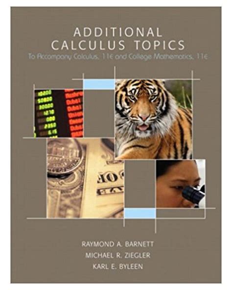 Additional Calculus Topics 11epb2008 Price In Pakistan Homeshoppingpk
