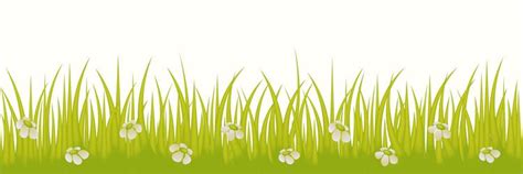 Grass Seamless Texture Vector Images Over 9900