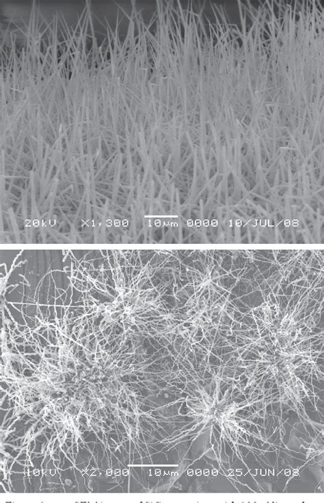 Figure 1 From Growth Of 3c Silicon Carbide Nanowires Using Chemical Vapor Deposition Semantic
