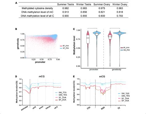 Overall Dna Methylation Patterns Of Cg Context In Adult Chinese
