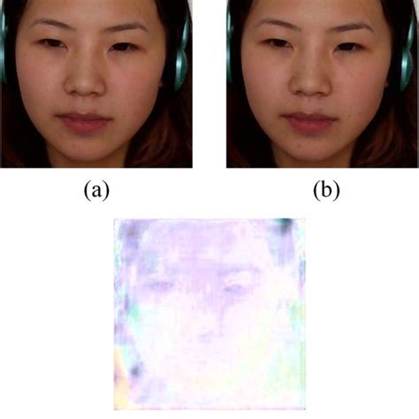 The Histogram Of Oriented Optical Flow With A Bin Number 8 Download Scientific Diagram