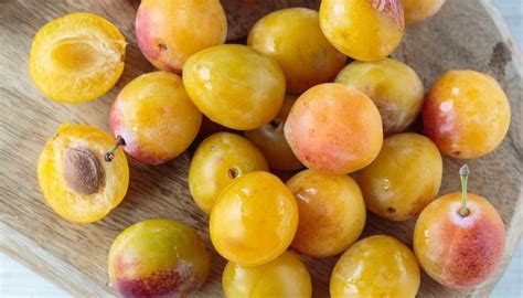 Mirabelle Guide Fabuleux Pour Manger Ce Fruit Délicieux
