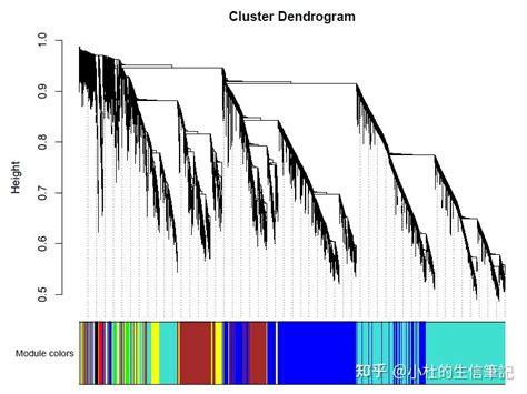 Wgcna分析 你的数据结果真的是准确的吗？？ 知乎