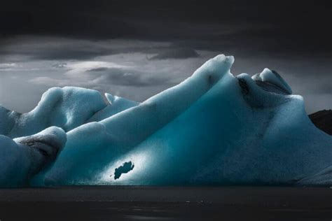 برندگان مسابقه عکاسی محیط‌ زیست ۲۰۲۵؛ وقتی دوربین‌ها صدای طبیعت می‌شوند