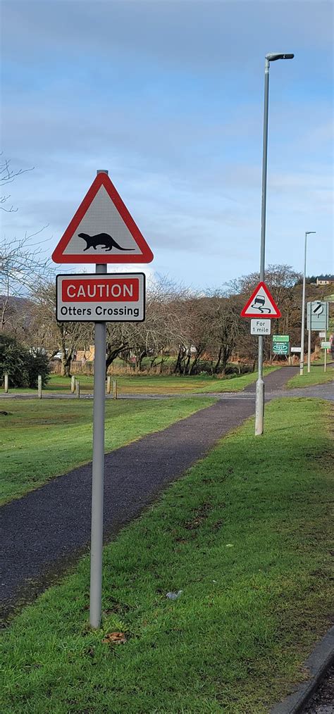 No Correlation R Casualuk