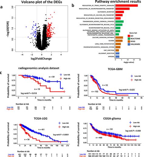 a summary of the deep learning signature dls associated key genes and