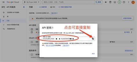 手把手教你开通YouTube官方API接口 youtube data api v 详细教程 哔哩哔哩
