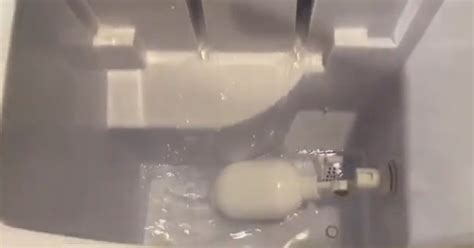 Essential Tips On How To Clean Igloo Ice Maker