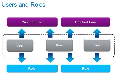 Flexnet Operations Roles