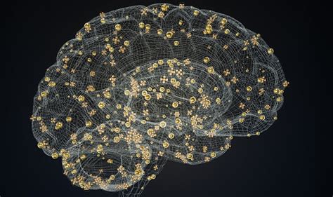 Microplastics In The Brain Urgent Call For Textile Action