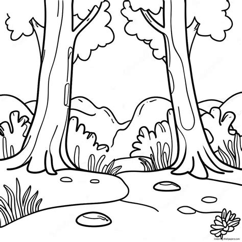 Colorful Forest Ecosystem Coloring Page 9291 7483