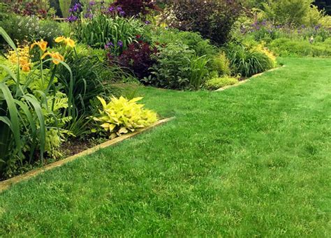 Best Low Cut Grass At Harrison Trethowan Blog