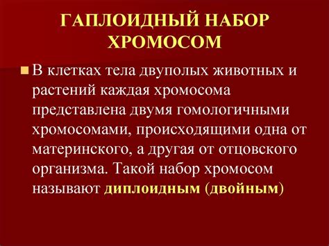 Структура и функции хромосом - презентация онлайн
