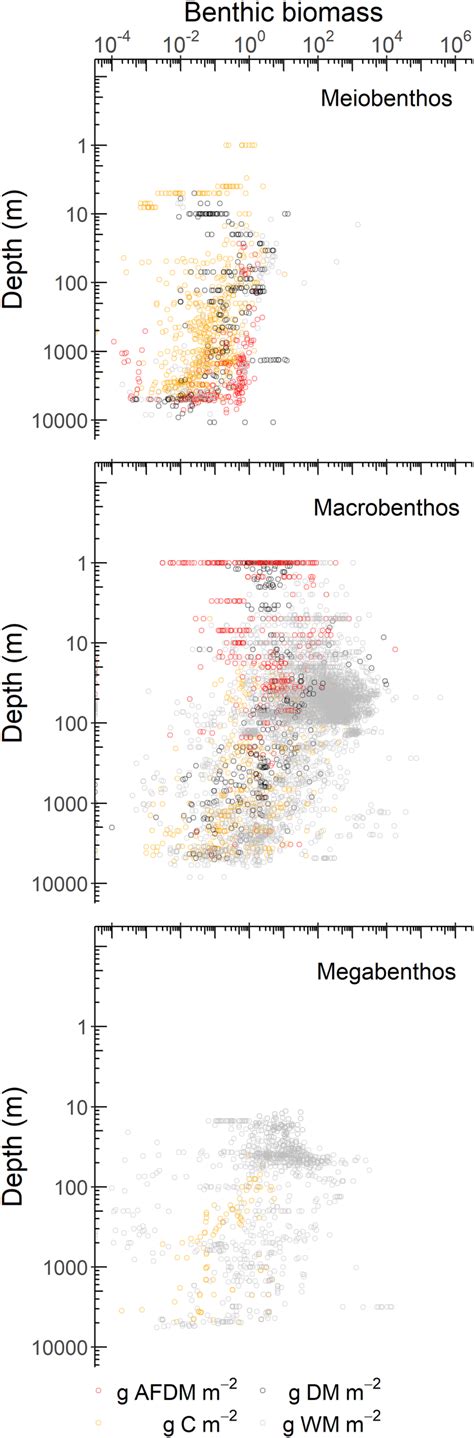 Benthic Biomasses G M −2 Of Metazoan Meiobenthos Upper Panel Download Scientific Diagram