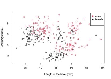 Help How Do I Do A Plot In R Macarena Quiroga