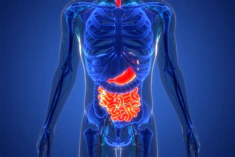 Proctalgia Fugax Causes Symptoms And Treatments Kanjo