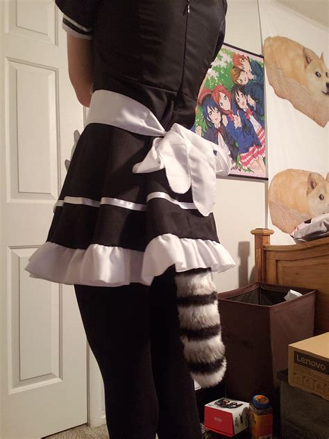 A Maid With A Cute Tail Scrolller