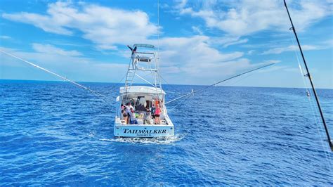 Tailwalker Sportfishing Super Day Today Two For Three On Swordfish