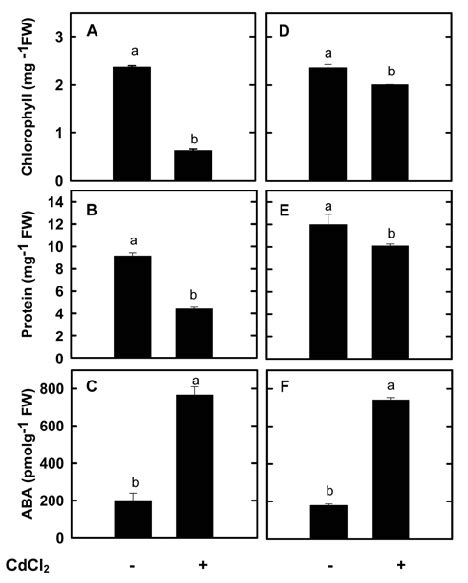 Effect Of Cdcl 2 05 Mm On The Contents Of Download Scientific