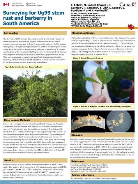 Pdf Surveying For Ug99 Stem Rust And Barberry In South America