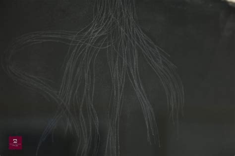 Exposition Etendues De Youssef Gharbaoui E Taqafama