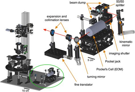 Table Optics Sub Assembly Left Green Circle Localizes The Table Download Scientific Diagram