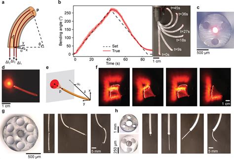 soft robotic fibers motion control a schematic of the fiber