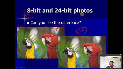 Bitmap Vs Vector Images YouTube