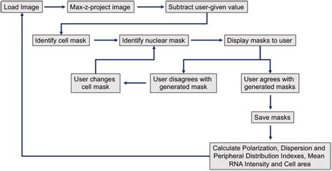 Flowchart Of Automated Analysis Steps Chart Detailing The Steps Taken Download Scientific